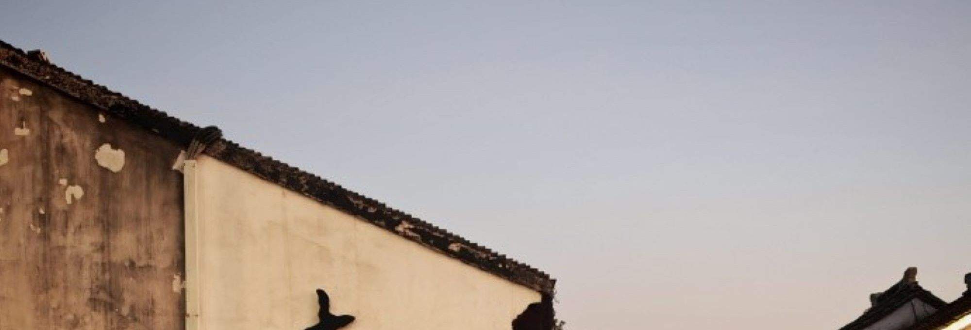3-Day Exclusive Tour of Suzhou, Wuzhen and Hangzhou (Ace 5A Water Town ...
